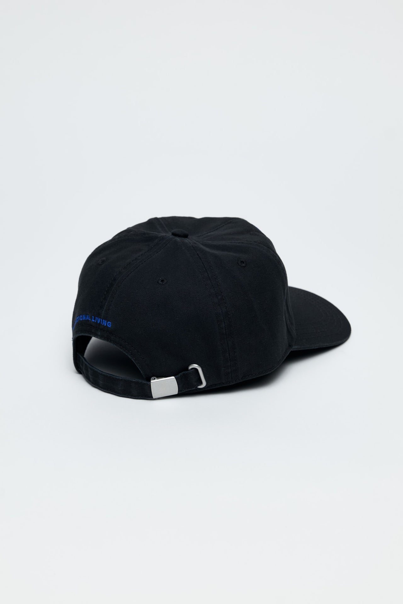 Pegasus Dad Hat | Spiritual Gangster