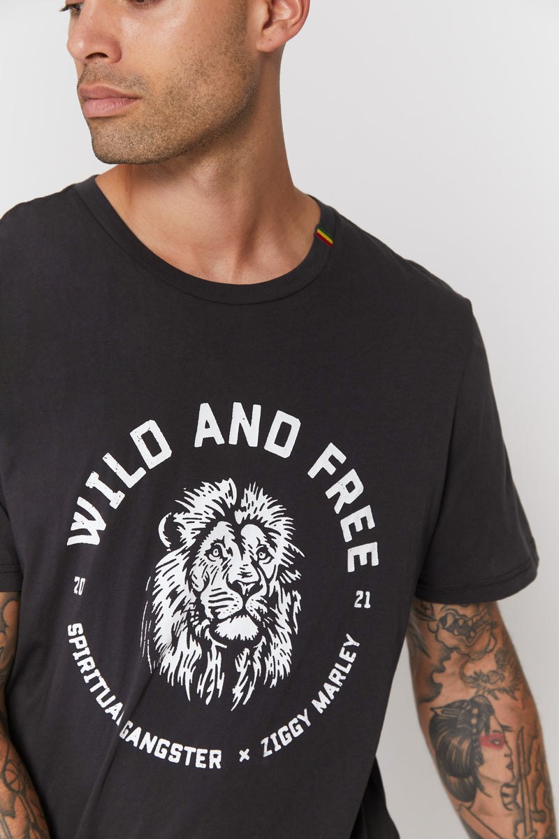 Ziggy Marley Wild And Free